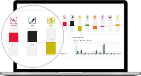 Style Factor and ESG Analysis - Confluence Technologies